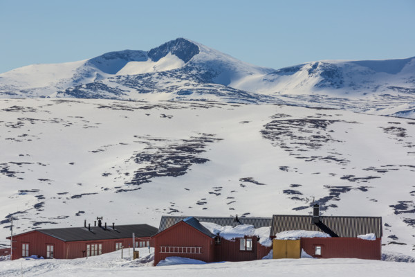 Varför måste Gåsen stängas? - Turist