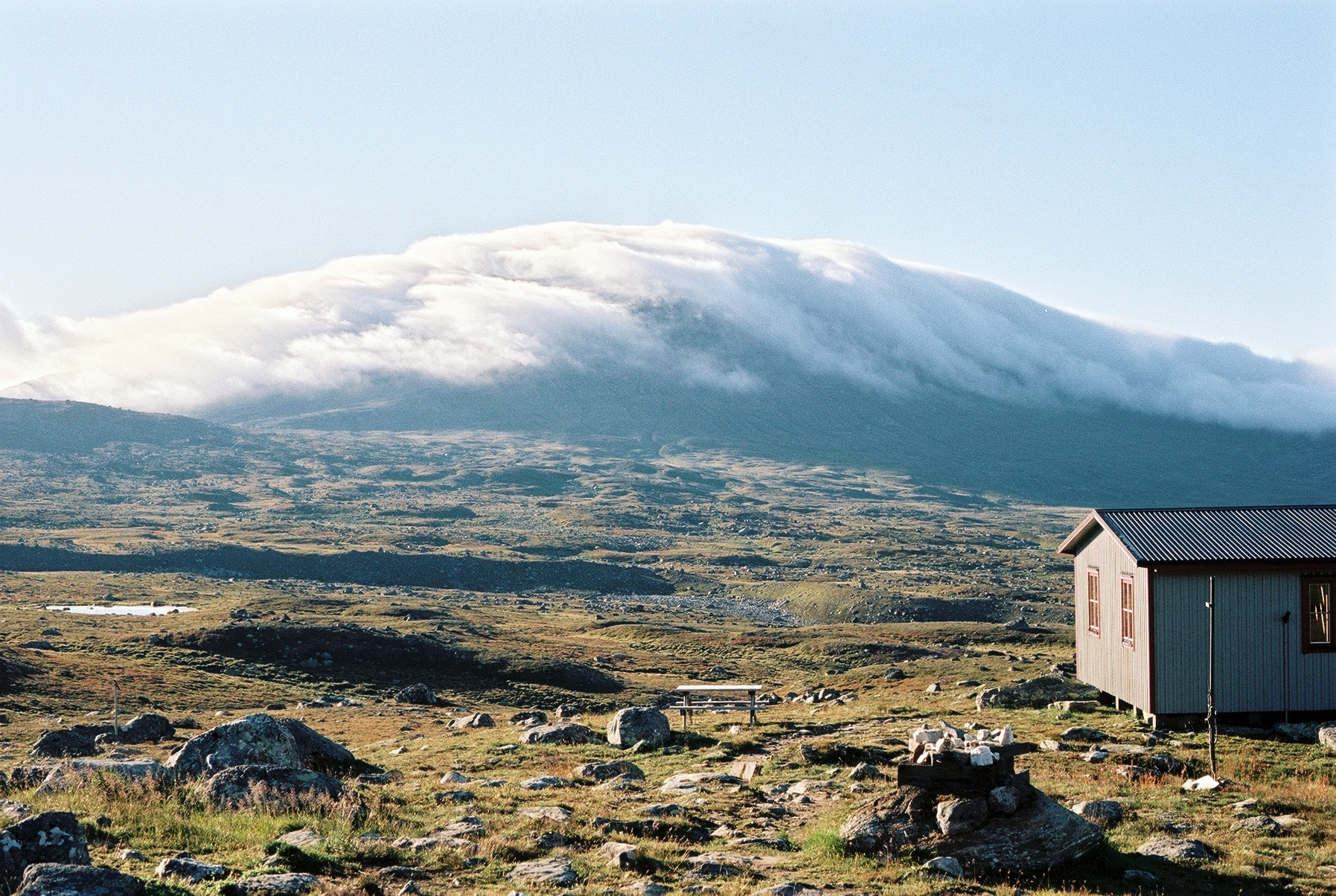 "Gåsen, mitt kära Gåsen" - Turist