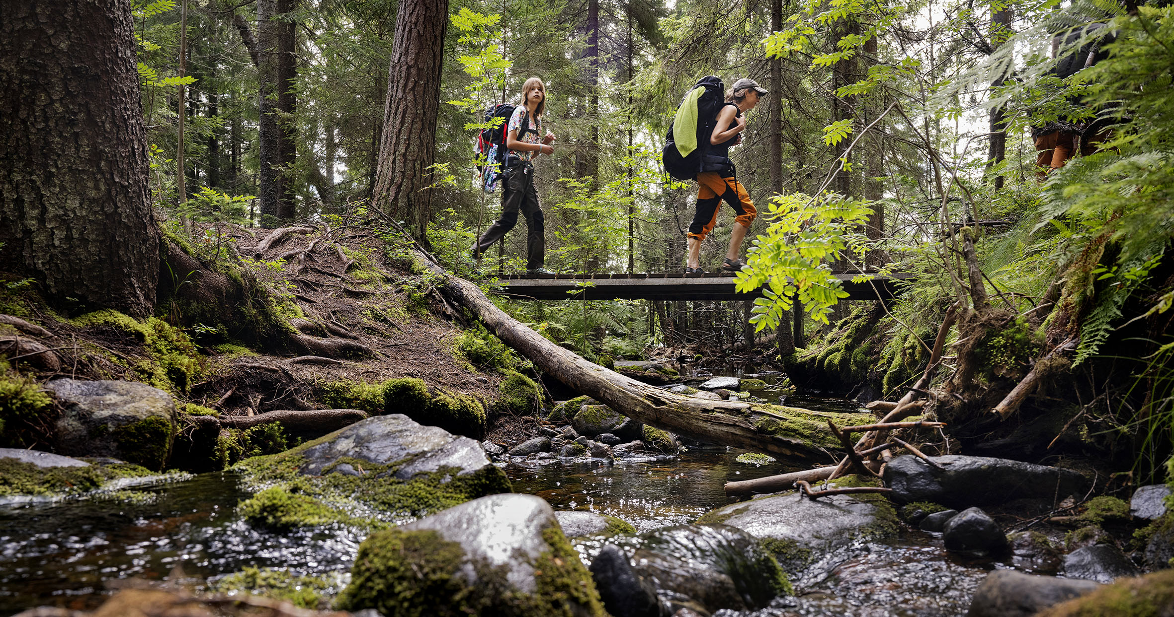 Skuleskogens smalaste stigar - Turist